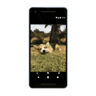 Google lens y posicionamiento web - Way to Success